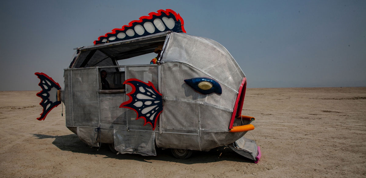 Andrea Riseborough’s best performances – ranked! – Oxygen Broadcast